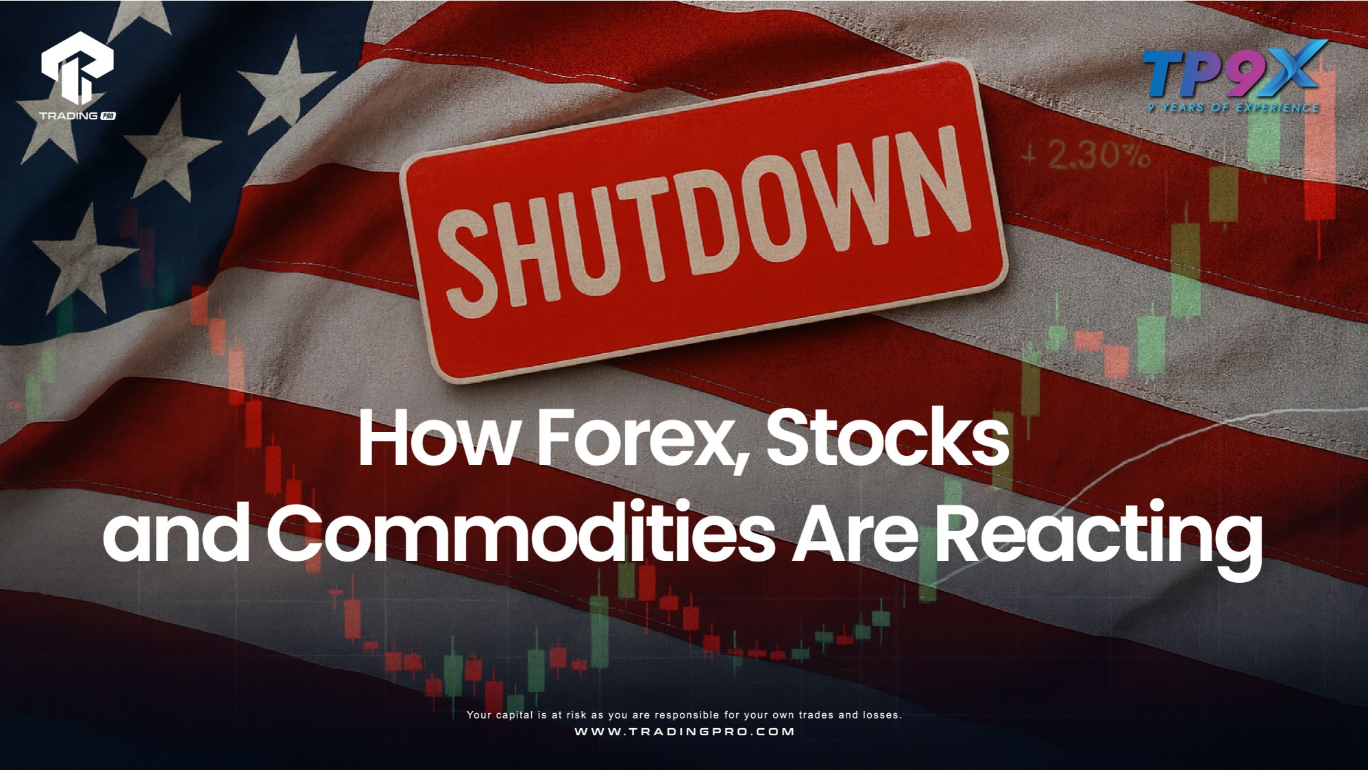 U.S. Government Shutdown 2025: How Forex, Stocks & Commodities Are ...